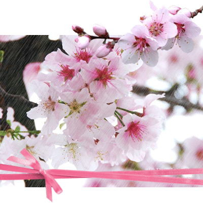 spring (in Seasonal)