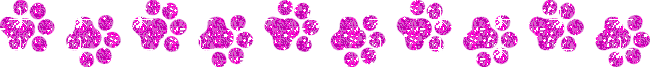 paw prints divider (in Dividers)