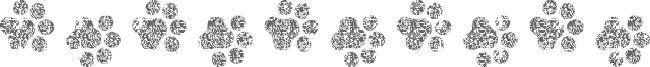 paw prints divider (in Dividers)