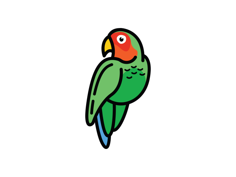 parrots (in Animated GIFs)