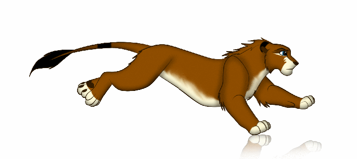 lion (in Animated GIFs)