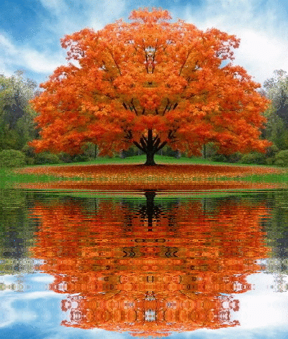 tree in autumn (in Animated GIFs)