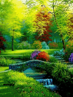 240x320 Nature Wallpaper Gif