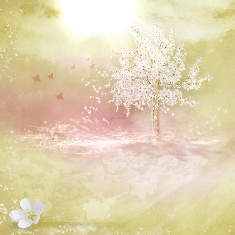 Spring ~ background (in Backgrounds)