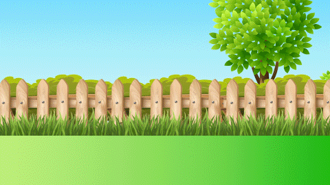 rodeo (in Animated GIFs)