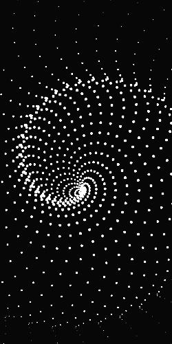 optical picture (in Animated GIFs)