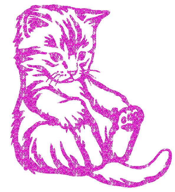 cat (in Sparkles)