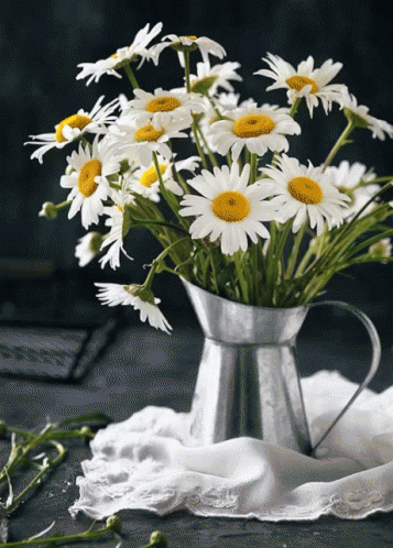 white flower (in Animated GIFs)
