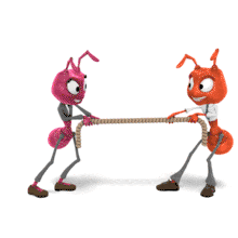 ants (in Animated GIFs)