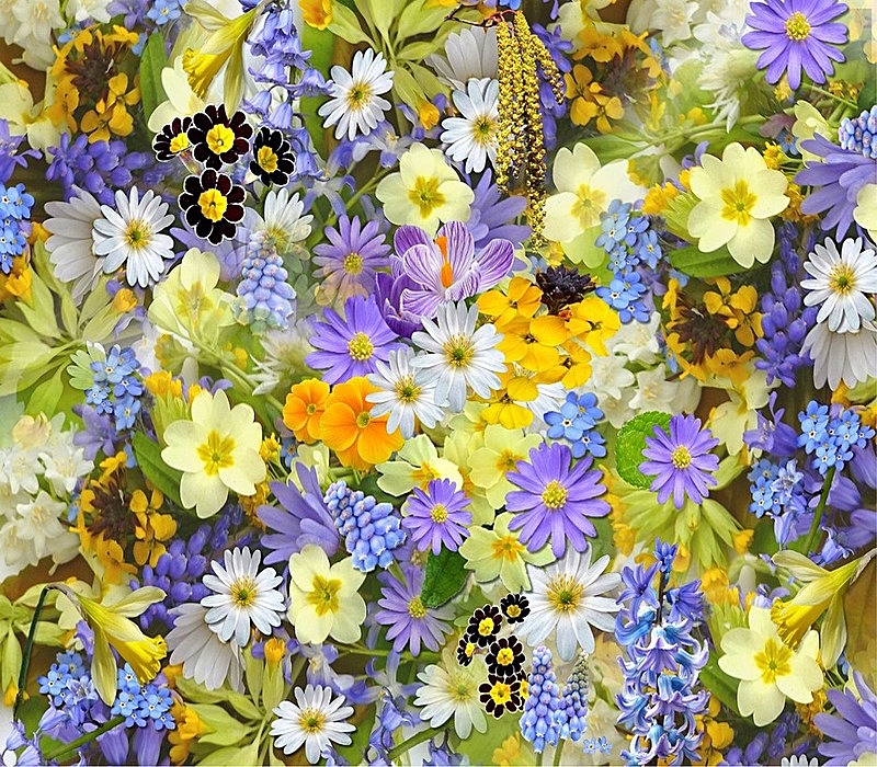 Spring/Background (in Backgrounds)