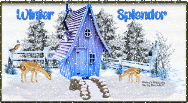 Winter Splendor (in Seasonal)