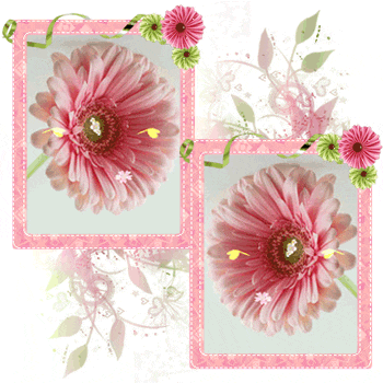 flower (in Animated GIFs)