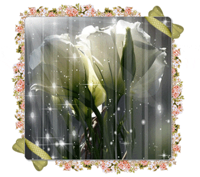 Flowers (in Animated GIFs)