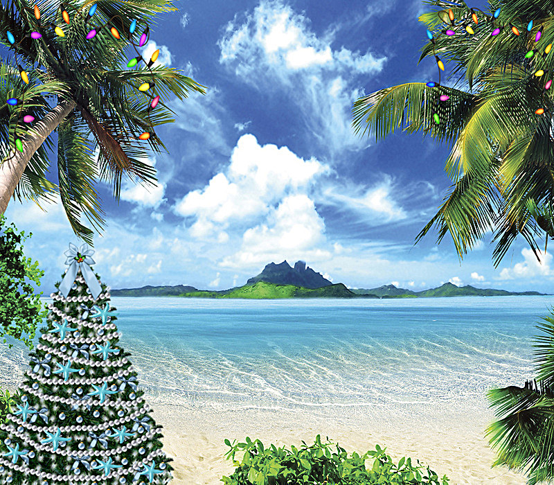 Summer Christmas Background (in Backgrounds)