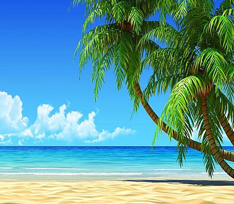 Summer Beach Background (in Backgrounds)
