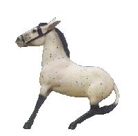 mule (in Animated GIFs)