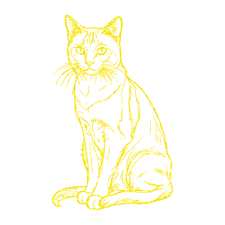 cat (in Sparkles)