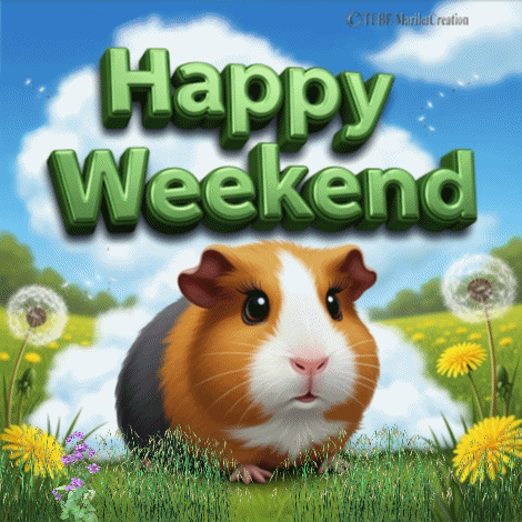 Happy weekend (in Glitter Text)