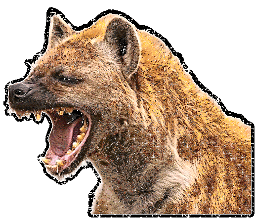 Hyena (in Sparkles)