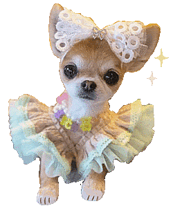 all dolled up (in Animated GIFs)