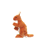 Pogo the kangaroo (in Animated GIFs)