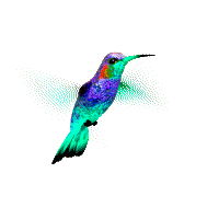 hummingbird (in Animated GIFs)