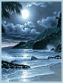 moon lit beach (in Animated GIFs)