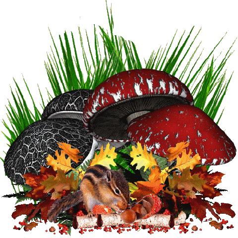 chipmunk eating some nuts (in Animated GIFs)