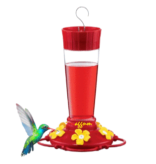 hummingbird (in Animated GIFs)