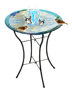 bird bath (in Animated GIFs)