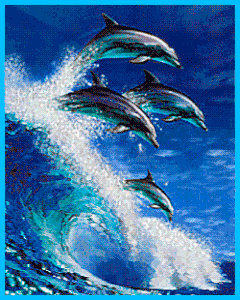 dolphins (in Animated GIFs)