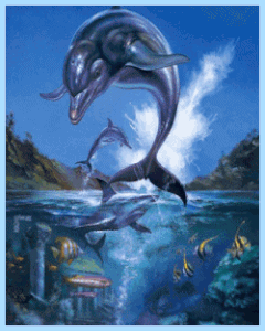 dolphins (in Animated GIFs)