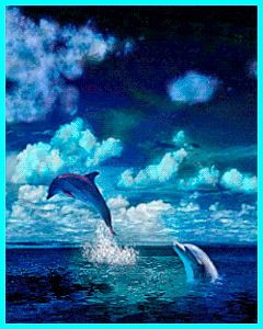 dolphins (in Animated GIFs)