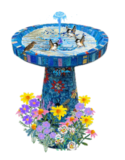 bird bath (in Animated GIFs)