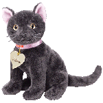 Arlene the cat (in Animated GIFs)