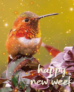happy new week (in Glitter Text)