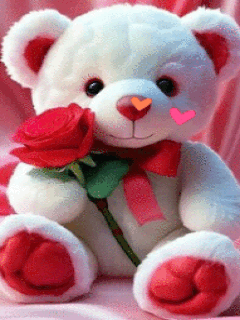 teddy bear (in Seasonal)